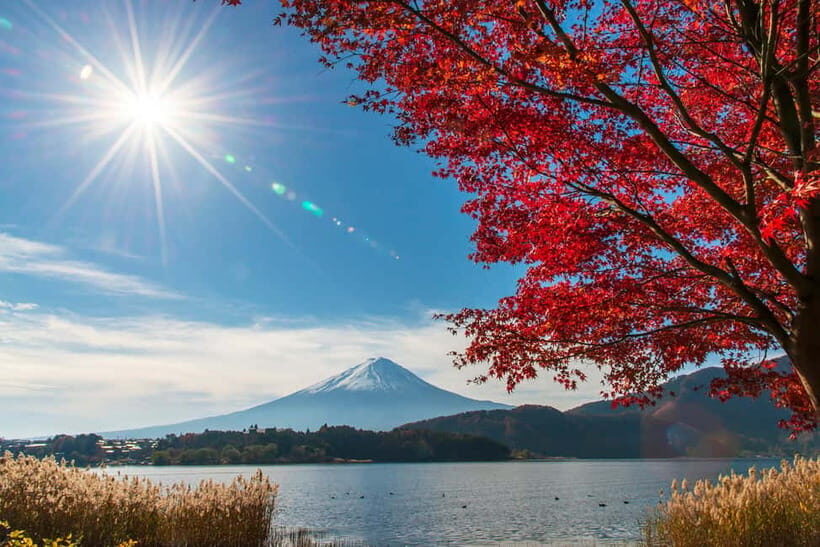 Mt. Fuji & Suntory Hakushu Distillery Whisky Museum - An In-Depth Look at the Tour Experience