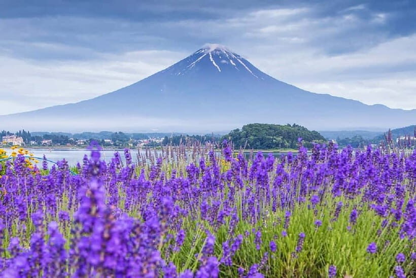 Mt Fuji Top 5 Spots Day Tour: Arakurayama Park,Oshino Hakkai - The Sum Up