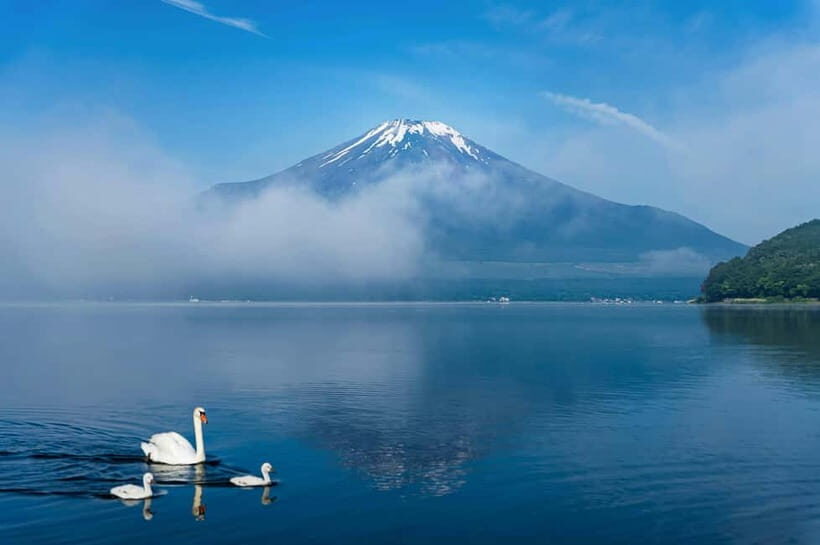 Mt Fuji Tour Customizable, fully Licenced Tour Operator - An In-Depth Look at the Mount Fuji Private Tour