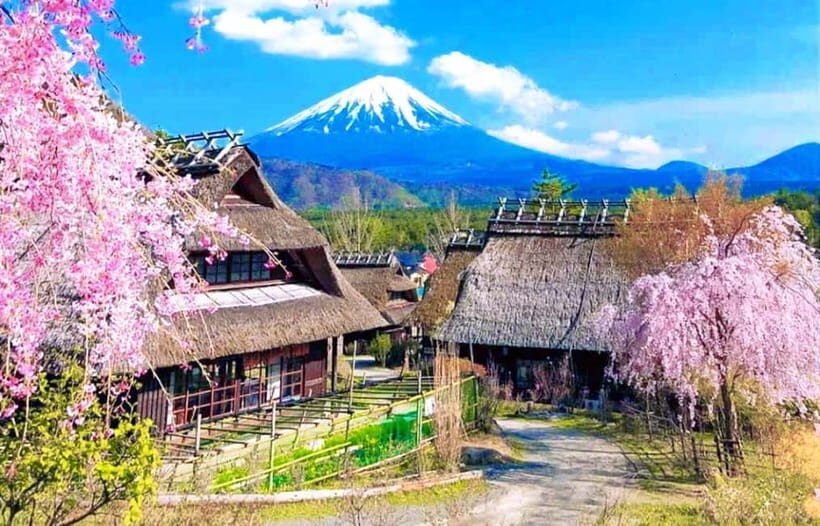 Mt Fuji Tour: Lake Kawaguchi, Shrine,Healing Village &Pagoda - How Do Travelers Feel About This Tour?