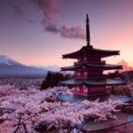 Mt Fuji Tour With Experienced English Driver - Who Will Love This Tour?