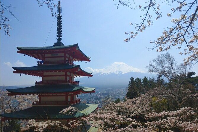 Mt Fuji with Kawaguchiko Lake Day Tour - The Practicalities: What to Expect