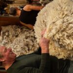 Mt. Hay Farm Experience Genuine Country Farming(Carbon Positive) - The Experience in Detail