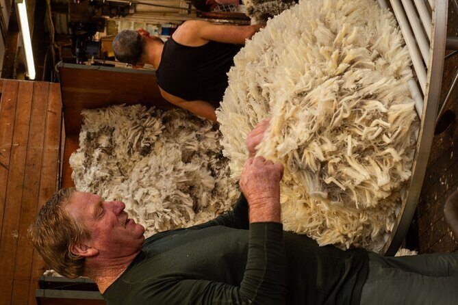 Mt. Hay Farm Experience Genuine Country Farming(Carbon Positive) - The Experience in Detail