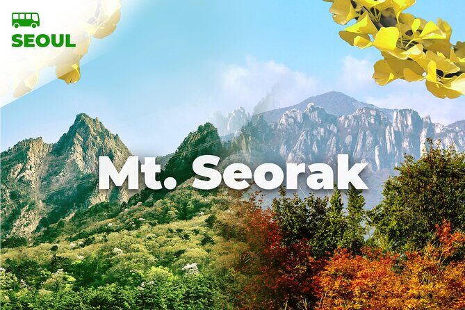 Mt. Seorak & The Tallest Ginko Tree at Yongmunsa - What Makes This Tour Stand Out?