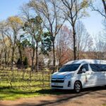 Mt Tamborine Shuttle Service - Gold Coast Return Transfer - The Experience: Comfort, Convenience, and Authenticity