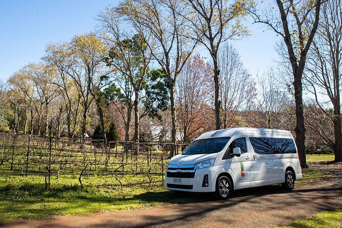 Mt Tamborine Shuttle Service - Gold Coast Return Transfer - The Experience: Comfort, Convenience, and Authenticity