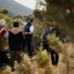 Mt Wellington Ultimate Afternoon Tour - Guided Tours and Walks at Key Stops