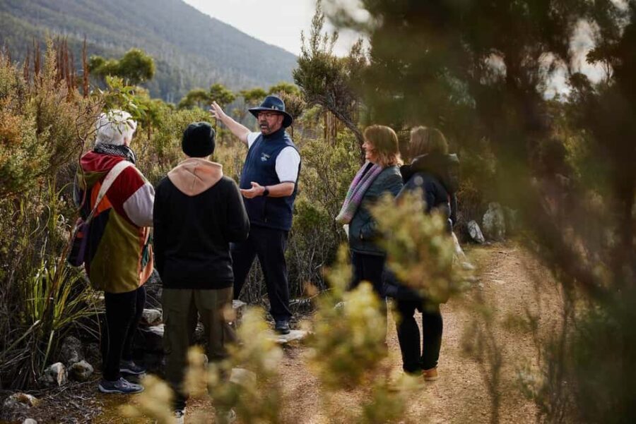 Mt Wellington Ultimate Afternoon Tour - Guided Tours and Walks at Key Stops