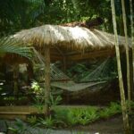 Mud Pools, Gardens, Markets, Temple & Shopping-Nadi Tour half day - Summing It Up