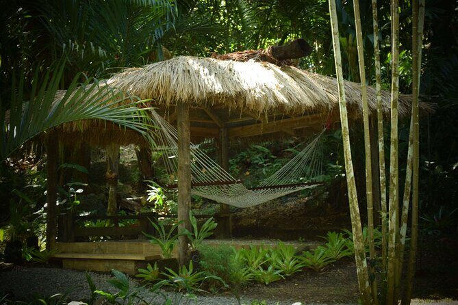 Mud Pools, Gardens, Markets, Temple & Shopping-Nadi Tour half day - Summing It Up