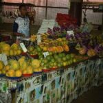 Mud Pools,Temple Sleeping Giants Gardens shopping markets &Lunch Ex Fiji Marriot - The Practical Side: What You Should Know