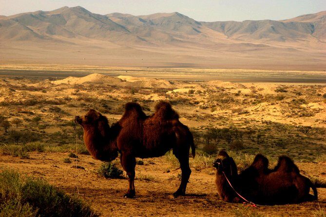 Multi-Day Tour to the Reindeer Tribe in Mongolia - The Sum Up