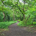 Mumbai: Maharashtra Nature Park Guided Nature Trail - Discovering Mumbai’s Unexpected Green Space