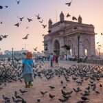 Mumbai Marvels Tour | 4 Hour Private City Tour with Guide - What To Expect During Your Tour