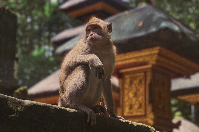 Munduk: Tamblingan jungle trek, waterfall, Ulun Danu temple - Authentic Experiences and Practical Considerations