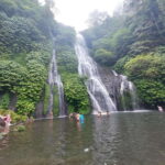 Munduk: Waterfall,Coffee Plantations & Hydrangea Trail - An In-Depth Look at the Munduk Waterfall & Coffee Tour