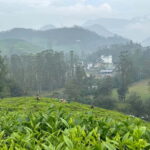 Munnar: Chokramudi Peak Full-Day Trekking Tour - Exploring Munnar: What to Expect