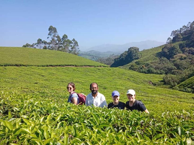 Munnar: Half day Guided Trek - The Itinerary in Detail