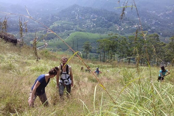 Munnar historical trail- (walk into Tea garden, village & market) - Why This Tour Offers Great Value
