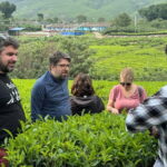 Munnar: Kolukkumalai Tea Plantation Jeep Tour - An Up-Close Look at the Tour Itself
