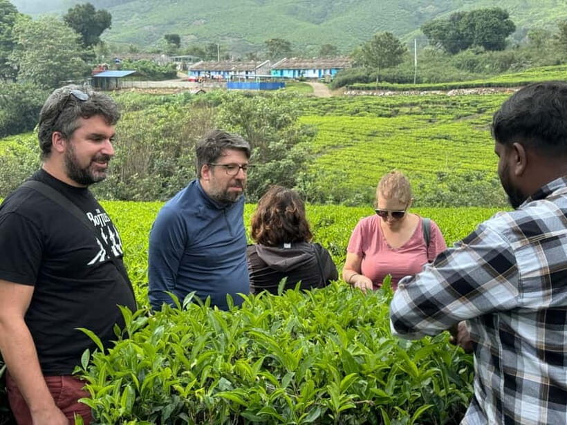 Munnar: Kolukkumalai Tea Plantation Jeep Tour - An Up-Close Look at the Tour Itself