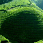 Munnar Letchmi Hills village Tour - Why This Tour Offers Real Value