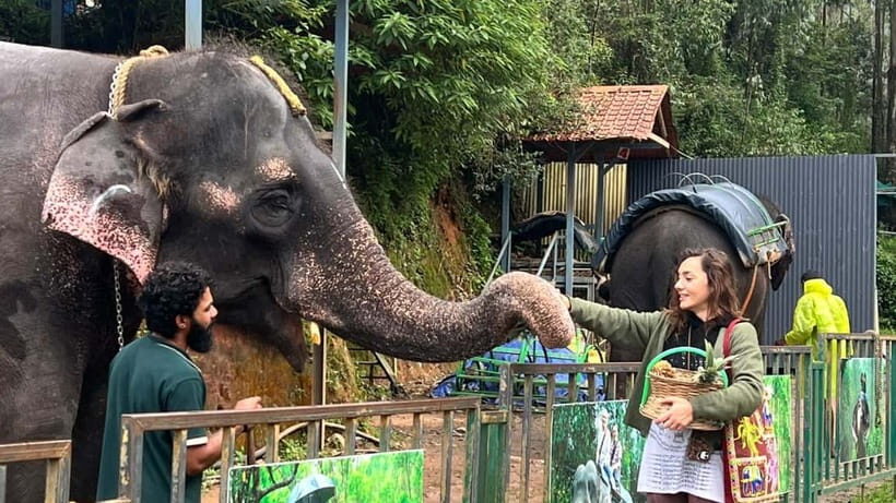Munnar: Local Highlights Day Tour with Top station Visit - Who Will Love This Tour?