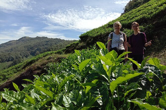 Munnar Tea Garden Trekking - Authenticity and Value