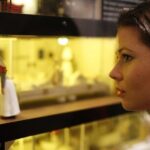 Museum of New Zealand Te Papa: Gallipoli Exhibition Guided Tour - The Sum Up
