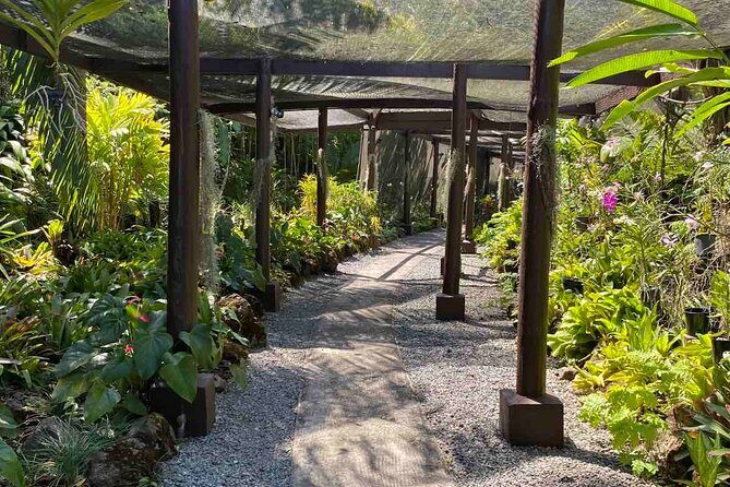 Nadi Fiji Historical Half Day Tour - Practical Details and Value