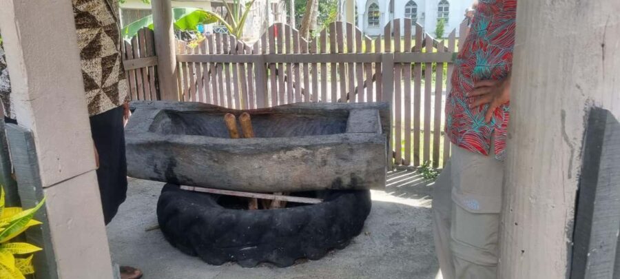 Nadi: Garden Village Hot Spring & Temple Highlights Tour - Final Thoughts