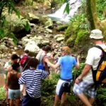 NADI: Nalesutale Village Half Day Tour - What’s Included and Practical Details