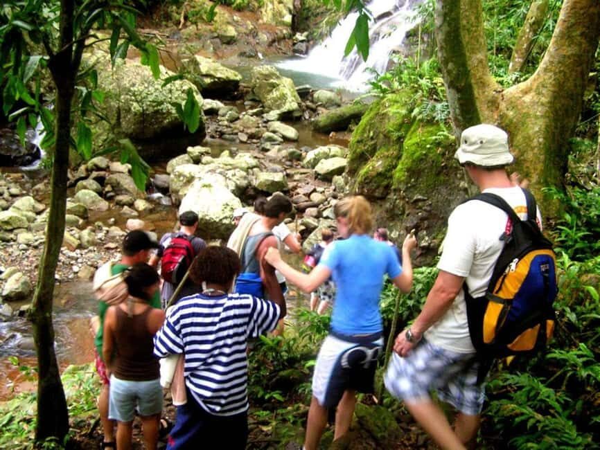NADI: Nalesutale Village Half Day Tour - What’s Included and Practical Details