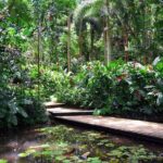 Nadi Sightseeing Including Viseisei Lookout, Village Tour, Garden & Temple Tour - Transportation and Group Size