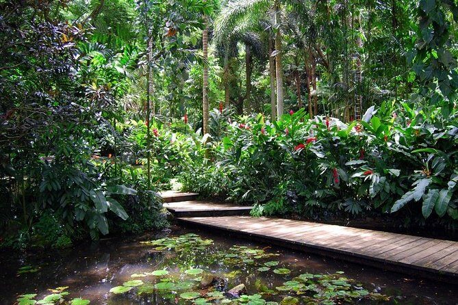 Nadi Sightseeing Including Viseisei Lookout, Village Tour, Garden & Temple Tour - Transportation and Group Size