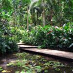 Nadi Sightseeing & Mud Pool Tour - Ex Fiji Marriott, Momi Bay - Who Would Enjoy This Tour?