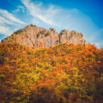 Naejangsan: Highlight of a Korean Autumn Day Trip from Seoul - Authentic Travelers’ Perspectives