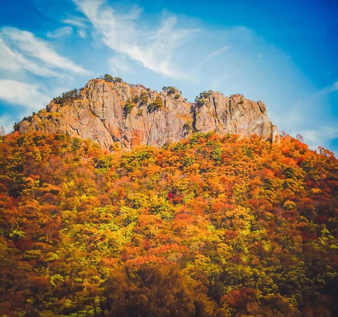 Naejangsan: Highlight of a Korean Autumn Day Trip from Seoul - Authentic Travelers’ Perspectives