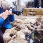 Nagano: Snow Monkeys, Sake Tasting & Zenkoji Private Tour - Why This Tour Offers Great Value