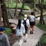 Nagano / Takayama : Kamikochi Tour with English Guide - The Itinerary: What You’ll Experience