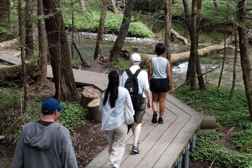 Nagano / Takayama : Kamikochi Tour with English Guide - The Itinerary: What You’ll Experience