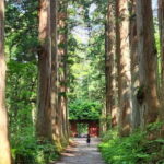 Nagano: Togakushi Shrine of 1400 Years & Farm-to-Table Lunch - Who Will Love This Tour?