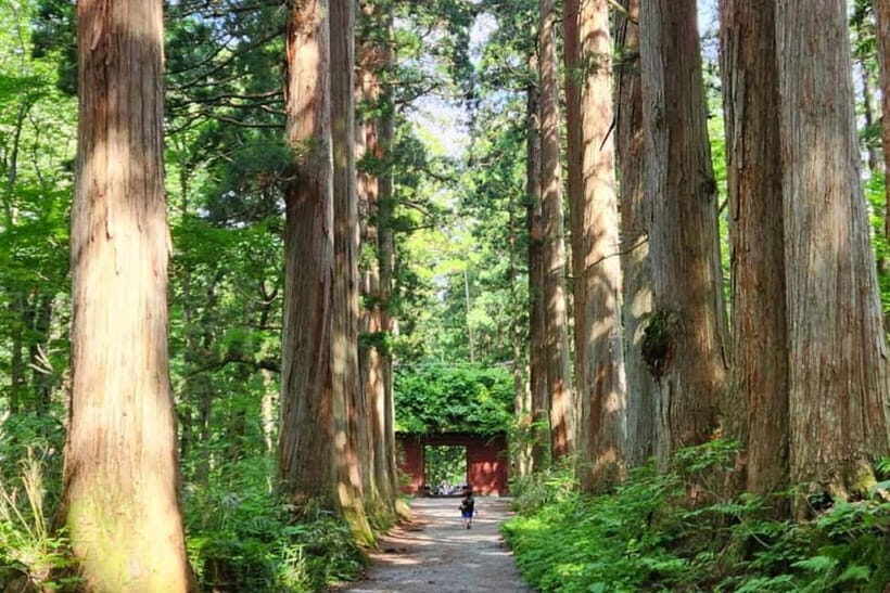 Nagano: Togakushi Shrine of 1400 Years & Farm-to-Table Lunch - Who Will Love This Tour?