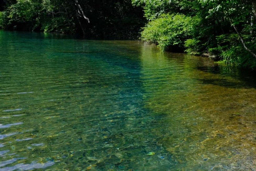 Nagano UNESCO Park: Emerald Acid Lake & Ghibli Onsen Town - Deep Dive into the Itinerary