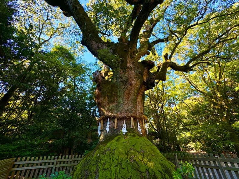 Nagoya: Atsuta Shrine and Sword Museum Guided Tour - Authenticity and Traveler Insights