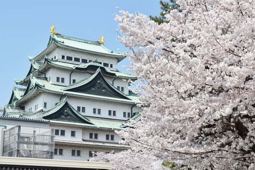 Nagoya: English-Guided Jogging Tour of the City (2 hours) - What’s Included and What to Expect