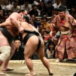 Nagoya: Grand Sumo Tournament Tour - Practical Details and Tips