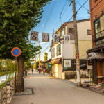 Nagoya: Hida Takayama & Shirakawa-go Tour w/Optional Lunch - The Unique Charm of Shirakawa-go