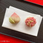 Nagoya: Japanese Traditional Sweets making and Tea Ceremony - Who Will Love This Tour?